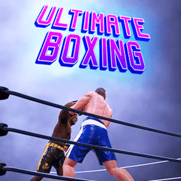 ULTIMATE BOXING GAME